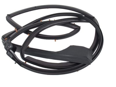80831-EA00B Genuine Nissan #80831EA00B WEATHERSTRIP Front Door LH