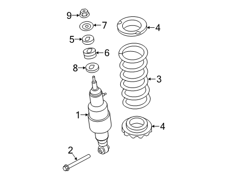 Shocks & Components - Rear - 2021 Nissan Armada