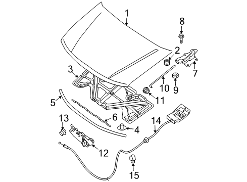 65100-EA500 Genuine Nissan #65100EA500 Hood
