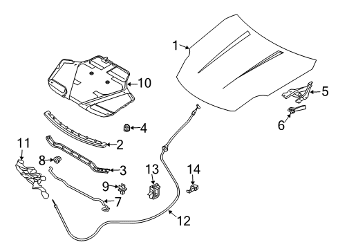 65820-AM800 Genuine Nissan #65820AM800 Seal-Hood,Front