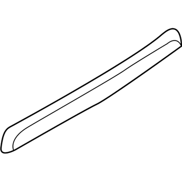 Exterior Trim - Back Door - 2021 Nissan NV 1500