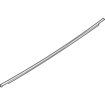 Exterior Trim - Rear Door - 2020 Nissan Maxima