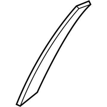 Exterior Trim - Rear Door - 2021 Nissan Maxima