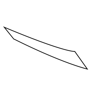 Exterior Trim - Front Door - 2021 Nissan Armada